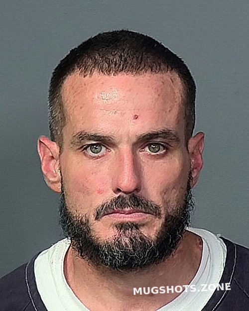 SOUTHWICK CHARLES E 06/28/2023 - Manatee County Mugshots Zone