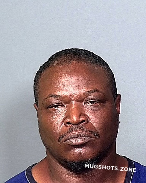 DAVIS HENRY E 07/01/2023 - Manatee County Mugshots Zone