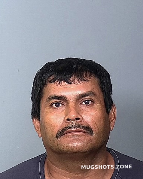 MACEDO-DOMINGUEZ TIRSO 08/13/2023 - Manatee County Mugshots Zone