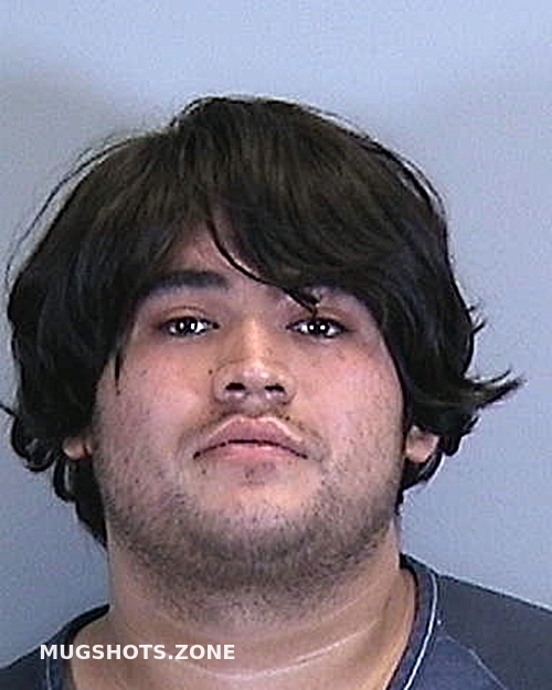 HERNANDEZ JAN A 08/24/2023 - Manatee County Mugshots Zone