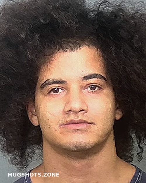 CINTRON-MALAVE CHRISTIAN R 09/01/2023 - Manatee County Mugshots Zone