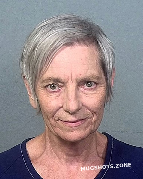 DESANTIS ANGELA J 10/12/2023 - Manatee County Mugshots Zone
