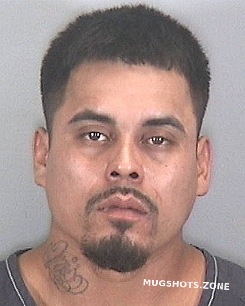 REYES NELSON M 10/17/2023 - Manatee County Mugshots Zone