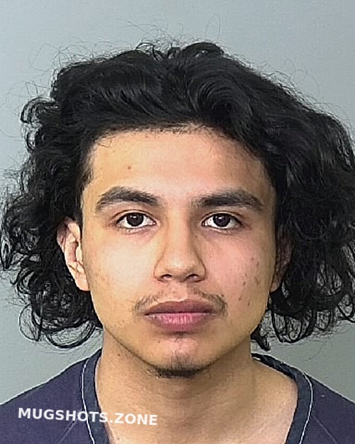 GONZALEZ DAVID A 10/25/2023 - Manatee County Mugshots Zone