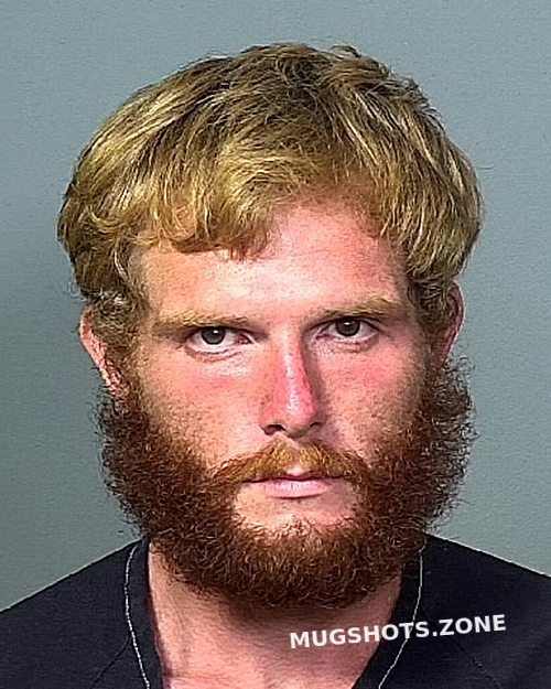 CULLIFER ADAM D 11/01/2023 - Manatee County Mugshots Zone