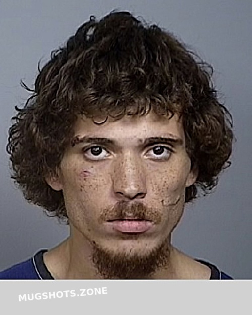 CARABALLO SAMUEL E 11/08/2023 - Manatee County Mugshots Zone
