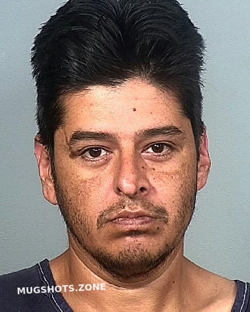 MAREZ EDGAR 11/10/2023 - Manatee County Mugshots Zone