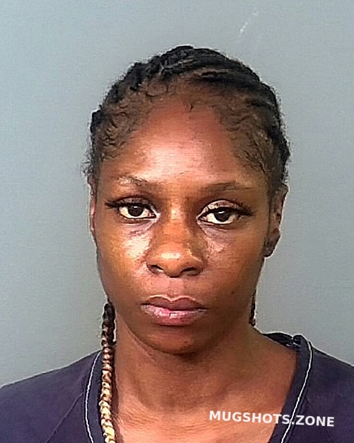 KILLEBREW NATASHA 11/10/2023 - Manatee County Mugshots Zone