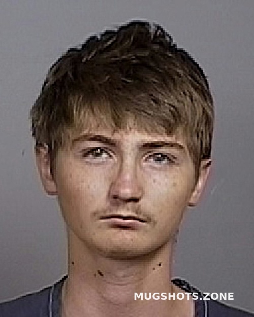 Davis Skyler A 11112023 Manatee County Mugshots Zone