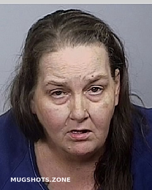 WALKER STACEY L 11/13/2023 - Manatee County Mugshots Zone