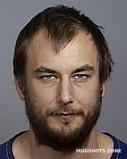 RODNEY LUKE T 11/16/2023 - Manatee County Mugshots Zone