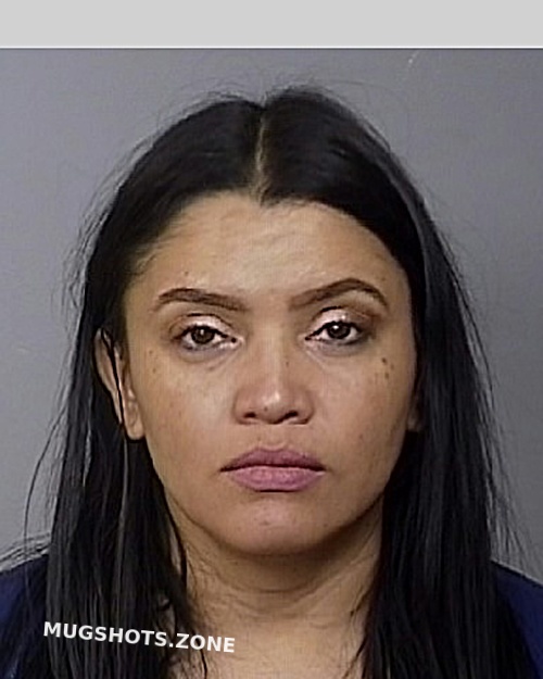 RAMOS CINDI M 11/18/2023 - Manatee County Mugshots Zone