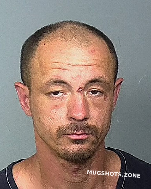 BOZEMAN SHANE L 11/22/2023 - Manatee County Mugshots Zone