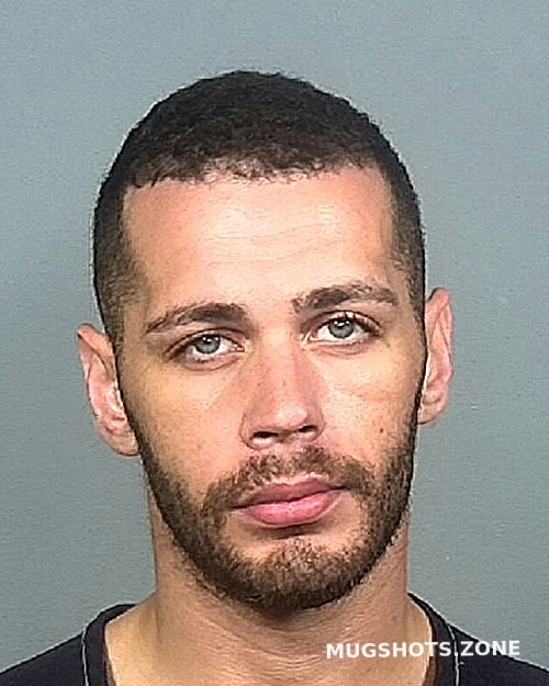 COOK ROBERT D 11/23/2023 - Manatee County Mugshots Zone