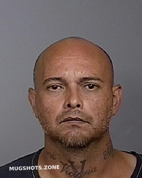 HALLER MICHAEL 11/24/2023 - Manatee County Mugshots Zone