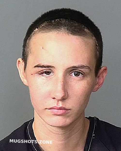MCMULLIN HAILEY M 12/01/2023 - Manatee County Mugshots Zone