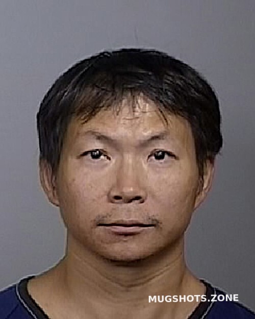 CHEN CHI 12/22/2023 - Manatee County Mugshots Zone