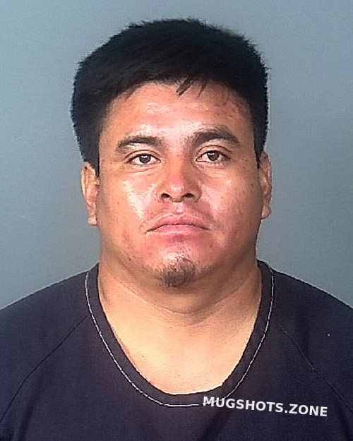 TOMAS-RAMOS EDGAR 12/29/2023 - Manatee County Mugshots Zone