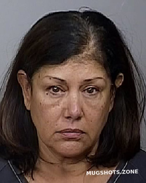 PHILLIPS LYDIA A 12/30/2023 - Manatee County Mugshots Zone