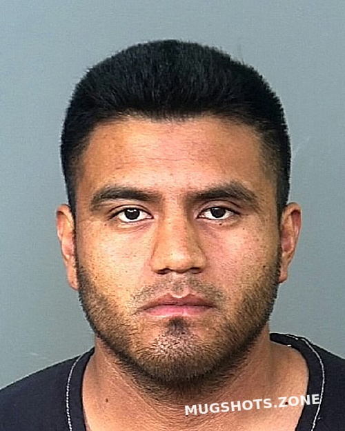 RAMOS-LOPEZ RONAL J 01/01/2024 - Manatee County Mugshots Zone