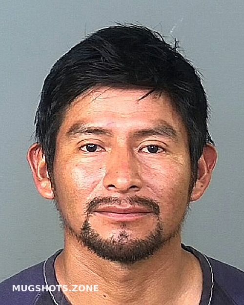 GRAVE ACABAL ANTONIO 01/14/2024 - Manatee County Mugshots Zone