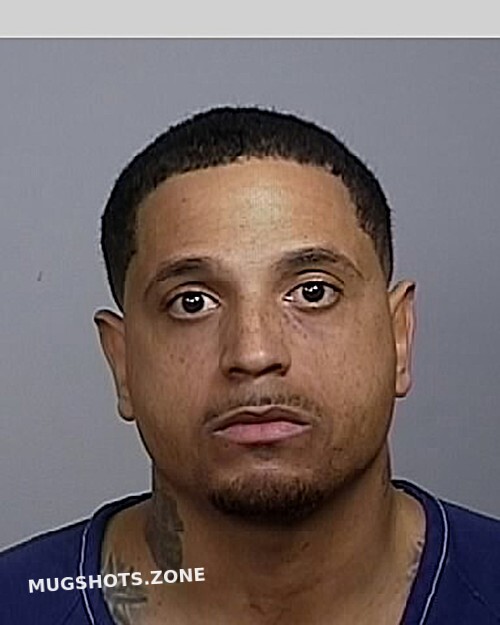 MADAN JULIO E 01/14/2024 - Manatee County Mugshots Zone