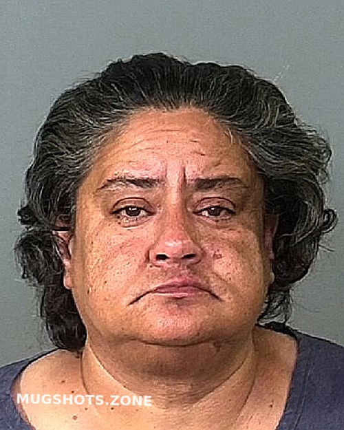 MESTRIL VIVIAN 01/21/2024 - Manatee County Mugshots Zone