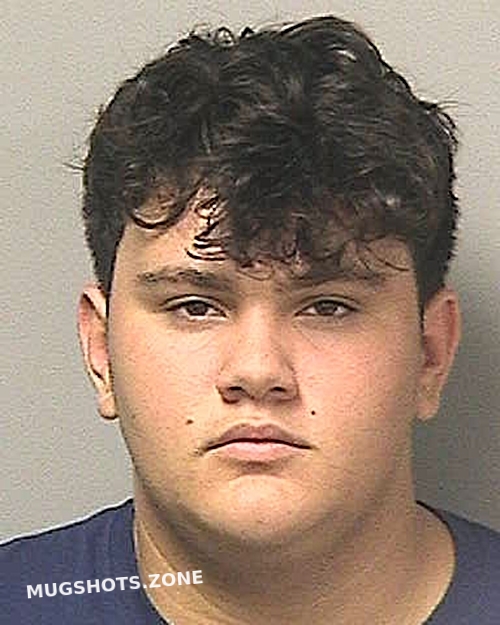 MANGUAL LUKE C 01/23/2024 - Manatee County Mugshots Zone