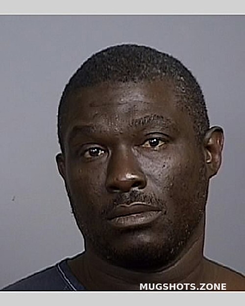 FREEMAN DAVID J 01/26/2024 - Manatee County Mugshots Zone