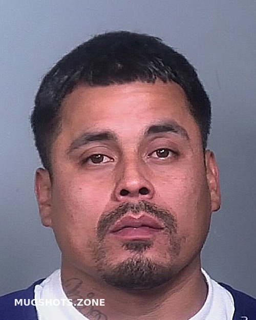 REYES NELSON M 01/29/2024 - Manatee County Mugshots Zone