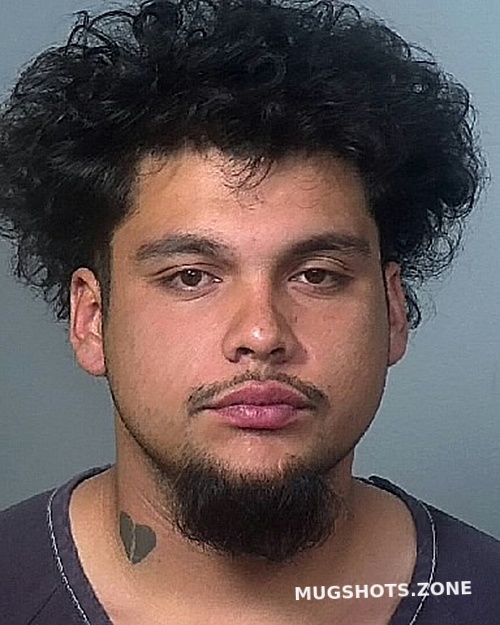 JUAREZ DIEGO A 01/31/2024 - Manatee County Mugshots Zone