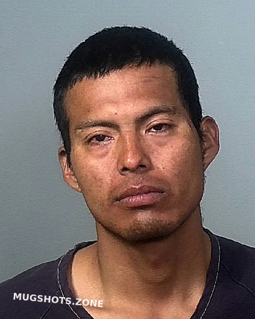 VAZQUEZ-CRUZ SAMUEL A 01/31/2024 - Manatee County Mugshots Zone