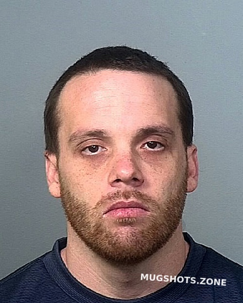 LOCKLEAR NICHOLAS D 02/08/2024 - Manatee County Mugshots Zone