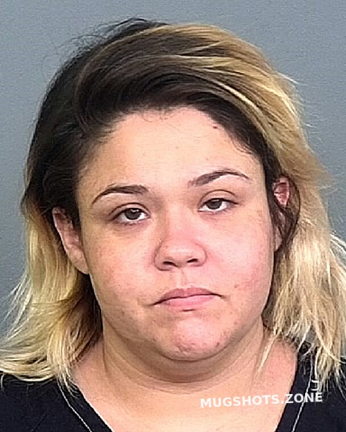 NICHOLAS ISABELLA 02/13/2024 - Manatee County Mugshots Zone