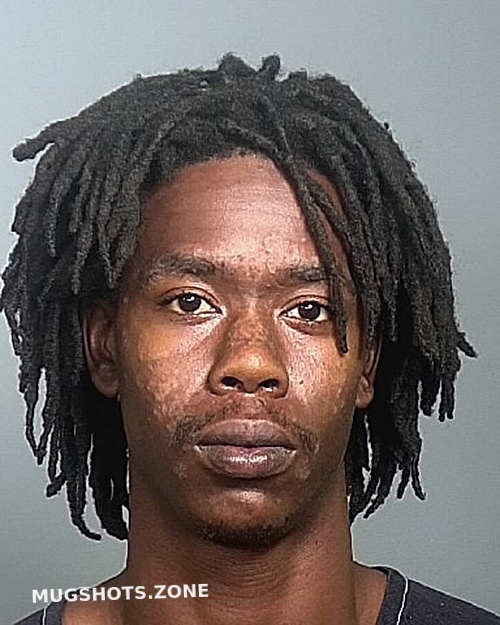 ACKERMAN EUGENE E 02/13/2024 - Manatee County Mugshots Zone