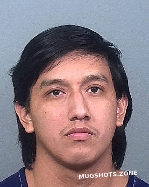 LORENZO DIEGO J 02/14/2024 - Manatee County Mugshots Zone