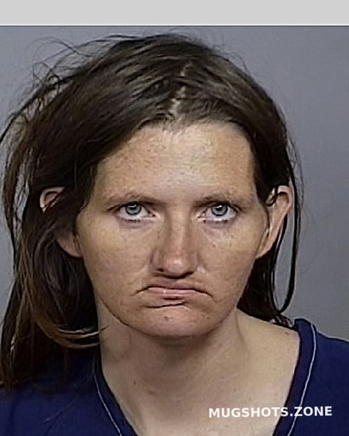 GOINS NANCY C 02/15/2024 - Manatee County Mugshots Zone