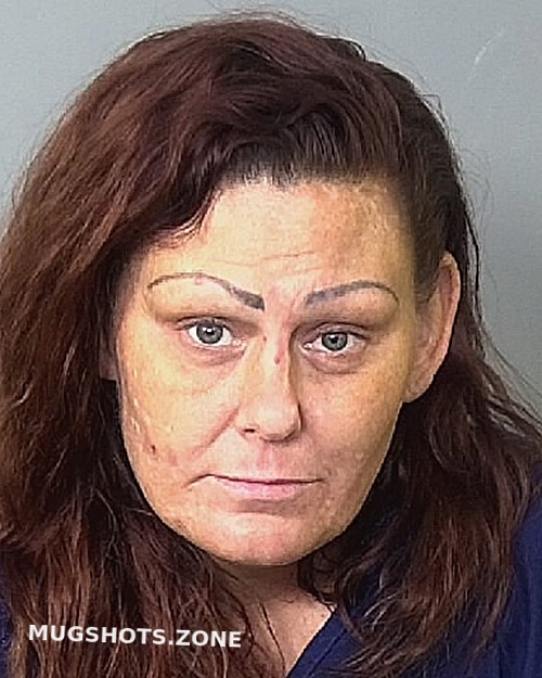 YERIAN JENNIFER L 02/20/2024 - Manatee County Mugshots Zone