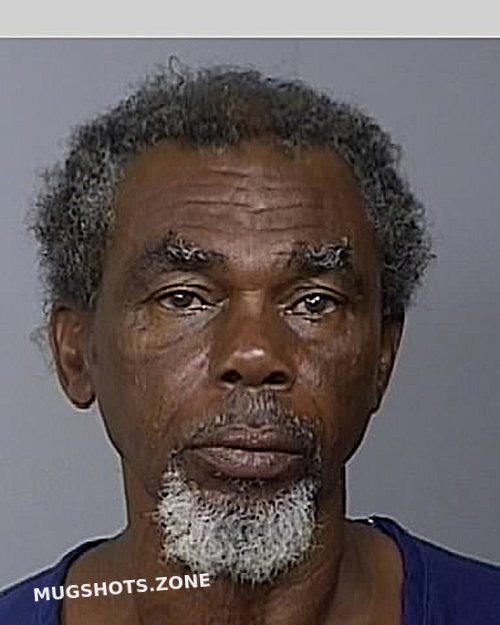 BROWN ROBERT E 02/23/2024 - Manatee County Mugshots Zone