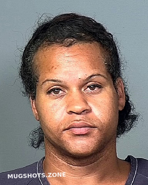 AMMONS KENNETH L 02/25/2024 - Manatee County Mugshots Zone