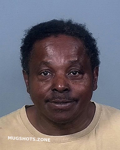 YAWN GLOVER A 02/28/2024 - Manatee County Mugshots Zone