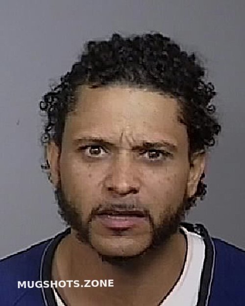 WILLIAMS JUSTIN V 03/04/2024 - Manatee County Mugshots Zone