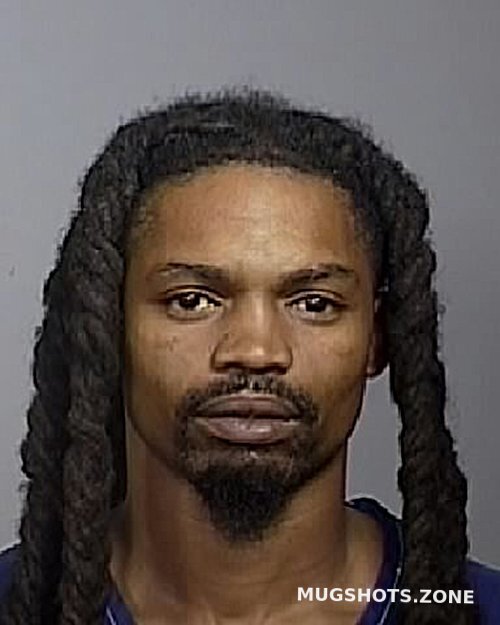 MANN TERRANCE D 03/14/2024 - Manatee County Mugshots Zone