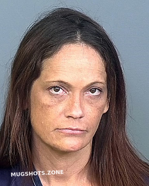 GROSS AMY R 03/18/2024 - Manatee County Mugshots Zone
