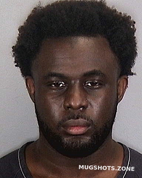 GILLIAN KHIRY B 03/19/2024 - Manatee County Mugshots Zone