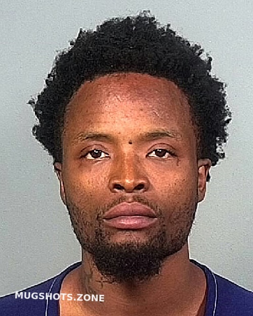 BOWMAN REGINALD C 03/20/2024 - Manatee County Mugshots Zone