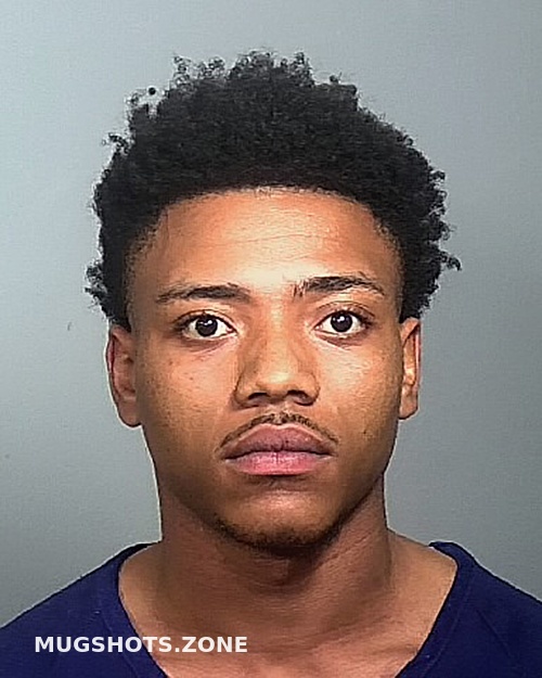 RILEY SINCERE D 03/23/2024 - Manatee County Mugshots Zone