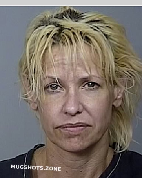 POPOVICH SONYA R 03/28/2024 - Manatee County Mugshots Zone