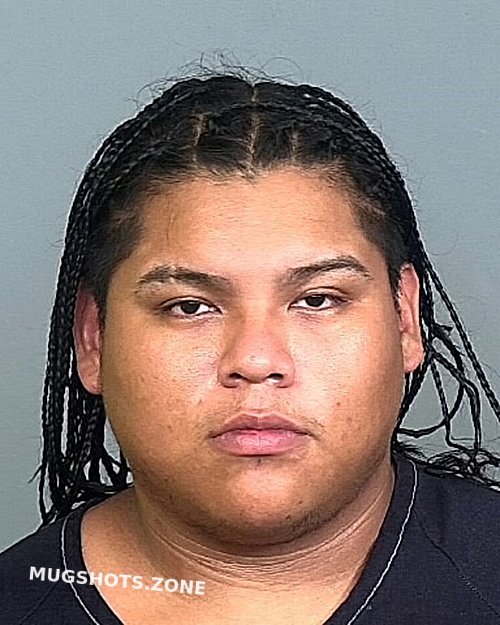 REYES ARNULFO 03/29/2024 - Manatee County Mugshots Zone