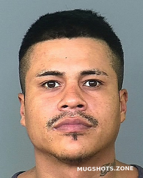 CAPETILLO MARCO A 03/30/2024 - Manatee County Mugshots Zone